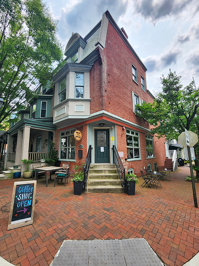Bean Head Coffee occupies a corner of Wilmington that feels like it was built specifically for leisurely coffee sipping and people-watching.