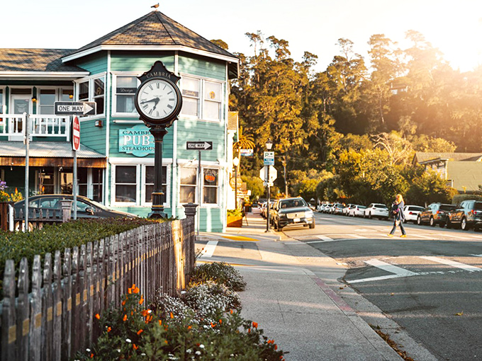 Cambria: Where the forest meets the sea and every shop looks like it might sell magic potions. Main Street charm with an artistic coastal twist.