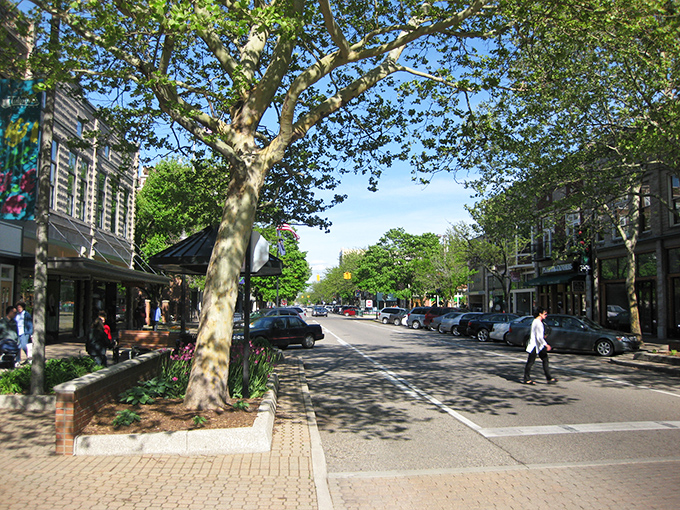 Holland's tree-lined streets offer shade for shoppers and a reminder that nature and commerce can be friendly neighbors.