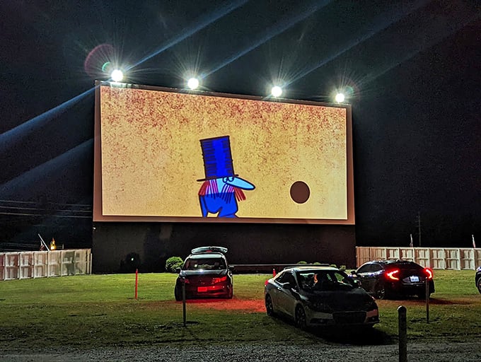 Two screens are better than one at Mayfield Road Drive-In! Double the movies, double the fun, all under that magnificent Ohio sky.