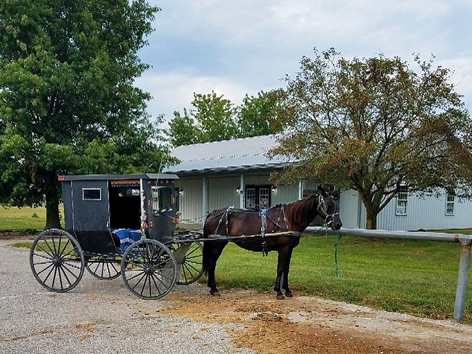 Montgomery's country roads welcome horse-drawn transportation&mdash;the original 1 horsepower vehicle with unlimited mileage.