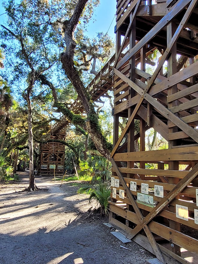 Wooden watchtowers worthy of a wildlife safari! Myakka River's observation platforms let you spot alligators from a distance that won't require running shoes.