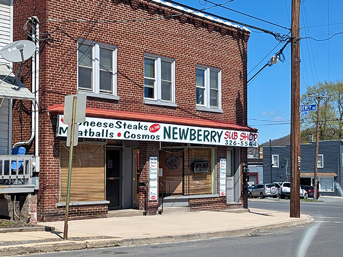 Newberry's corner brick building has been feeding Williamsport since 1980, one perfect cheesesteak at a time.