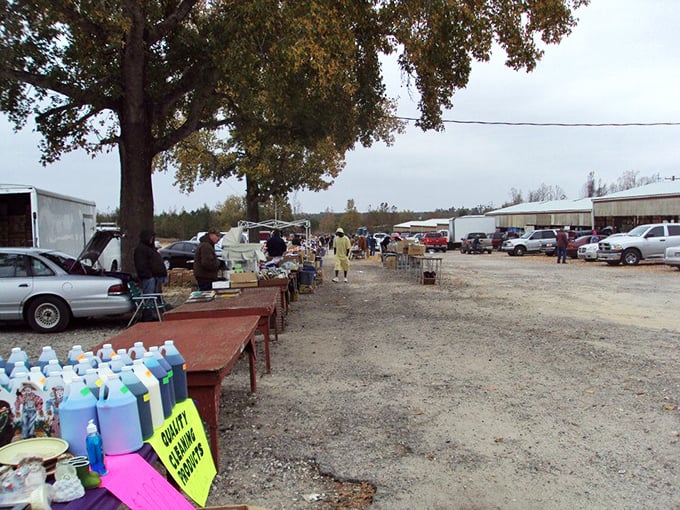 Treasure hunting central! Orangeburg's simple setup means vendors focus on fantastic deals rather than fancy displays.