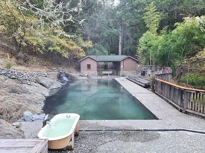 Forest cathedral vibes surround this peaceful pool where redwoods stand guard over your relaxation.
