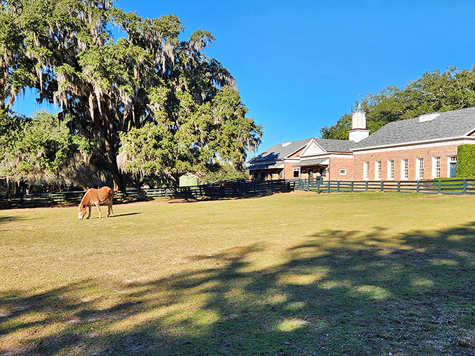 At Pebble Hill, even the horses live in style! This elegant stable and pasture scene captures the estate's sporting heritage.