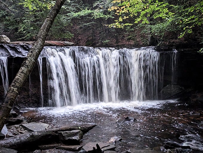 Ricketts Glen's waterfalls put on a show that makes Niagara seem like it's trying too hard. Nature's perfect performance.