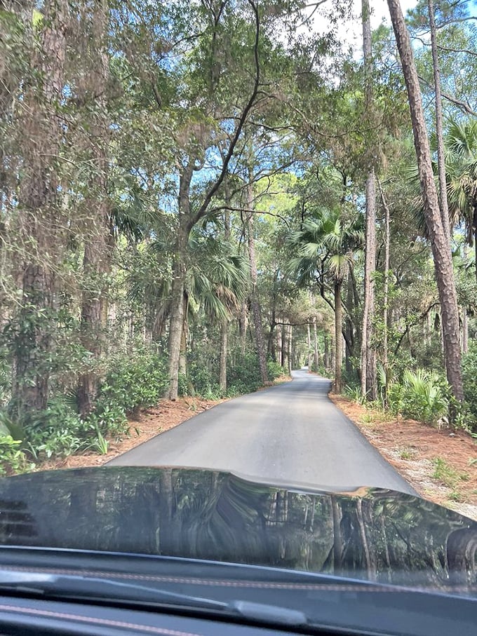 This view from the driver's seat shows how paradise looks when filtered through a windshield frame.