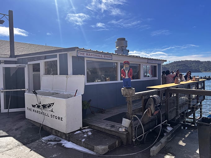 The Marshall Store sits right on Tomales Bay, where oysters go from water to plate in what feels like minutes.