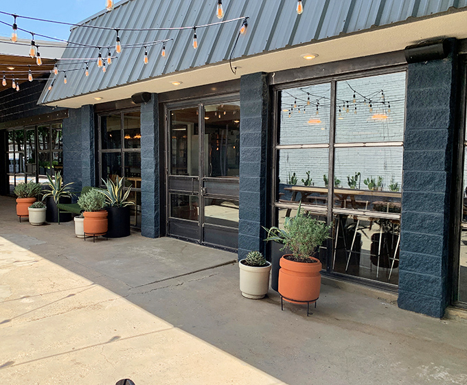 Where potted plants meet powdered sugar. This hip haven makes donuts feel like a sophisticated culinary adventure.