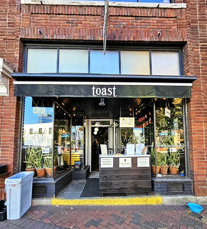 Toast's minimalist storefront is like that quiet friend who suddenly reveals they're a culinary genius at the dinner party.