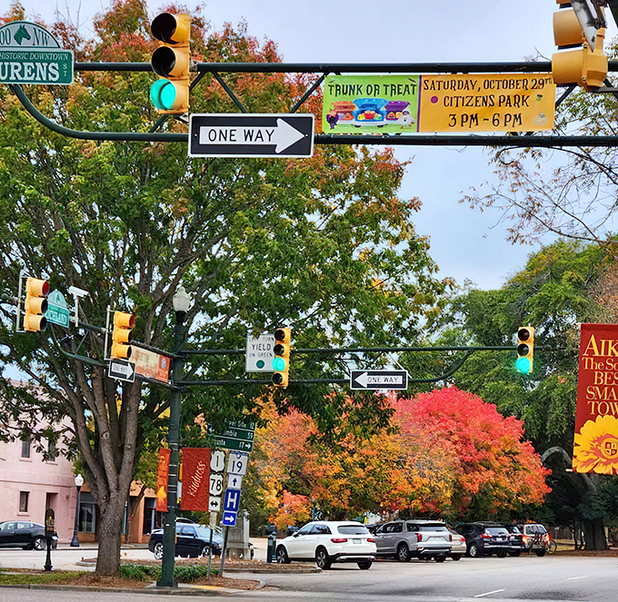 Classic cars line up in Aiken, where vintage vibes and modern affordability create the perfect retirement backdrop.