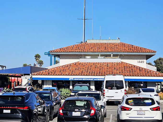 Seafood doesn't need fancy surroundings when it's this fresh! Andria's terra cotta roof and desert plants create the perfect California seafood setting.