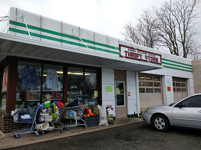 Shopping carts stand ready outside the Animal Welfare League Thrift Store &ndash; soldiers in the battle against both waste and pet homelessness.
