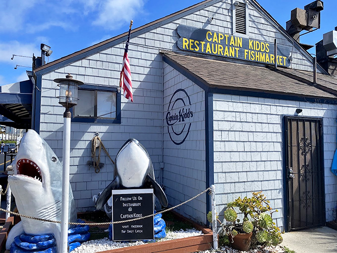 Ahoy, seafood lovers! Captain Kidd's weathered shingle exterior and shark guardian set the stage for a maritime feast worth walking the plank for.