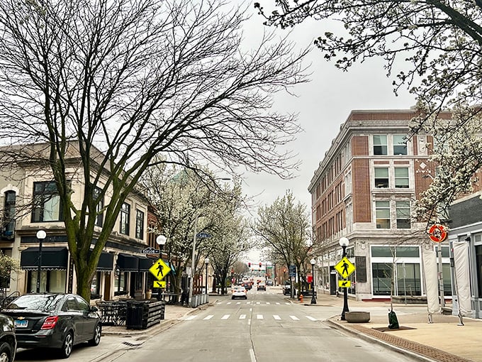 Champaign knows how to blend historic charm with college town energy. That's what I call town-and-gown harmony!
