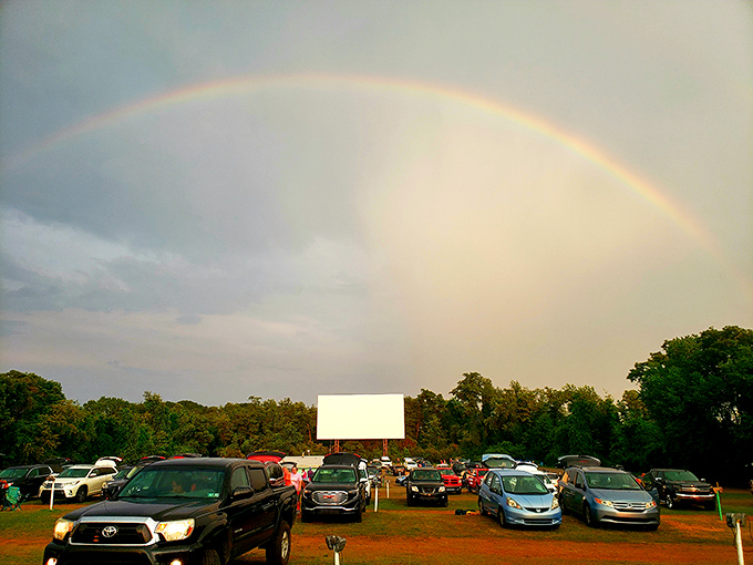 Community spirit on display! Local pet food drive shows these drive-ins are more than movies&mdash;they're neighborhood gathering spots.