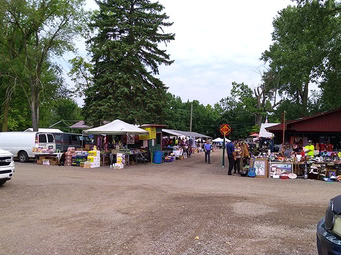 One person's castoffs become another's treasures at Greenlawn, where secondhand finds get a second chance on sunny afternoons.