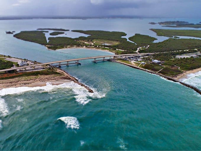 Where land meets water in a delicate dance, this scenic route showcases Florida's natural side without a single mouse-eared hat.