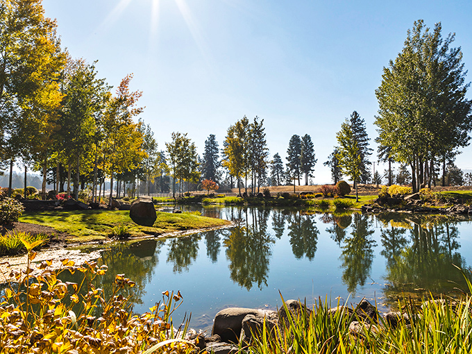 Mirror-like waters at Klamath Falls reflect trees in perfect symmetry – nature showing off its artistic side.