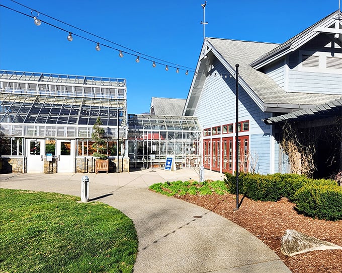 Plant paradise! Sunlight dances through glass walls at the NC Arboretum, where garden meets architectural innovation.