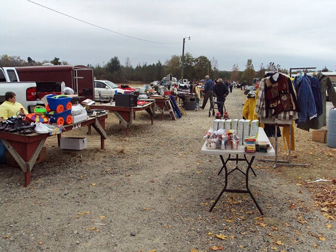 Deals under open skies! Orangeburg's outdoor market proves the best shopping experiences don't need walls or air conditioning.