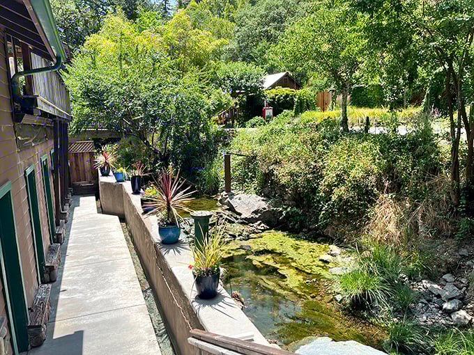 Ferns and moss create a secret garden atmosphere at this clothing-optional forest retreat.