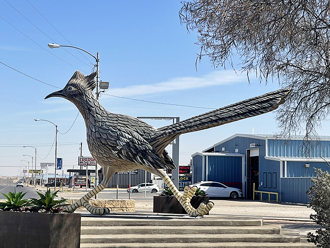 This roadrunner won't be outrunning any coyotes. Pete's massive metallic frame has become Fort Stockton's most photographed resident.