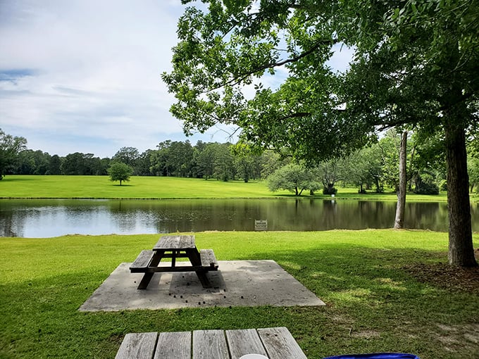 Pebble Hill's serene pond offers the perfect spot for reflection, both literally and figuratively, on Georgia's plantation past.