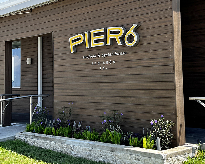 Those clean lines and natural wood tones at Pier 6 set the stage for seafood that's both traditional and innovative.