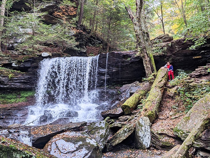 Mother Nature's finest water features on display at Ricketts Glen, where every turn on the trail reveals another "wow" moment.