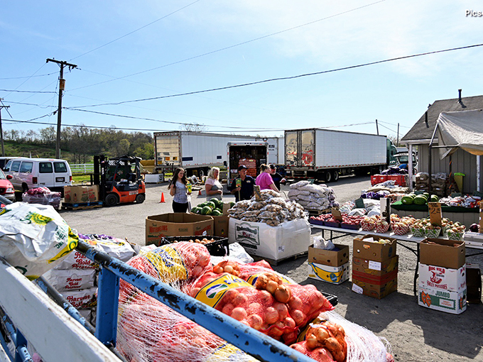 Sunshine and savings! Rogers' outdoor market creates the perfect recipe for a day of discovery.