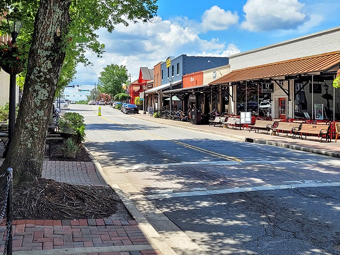 A peaceful Roswell residential area where nature and neighborhoods coexist beautifully. Retirement with a side of serenity!