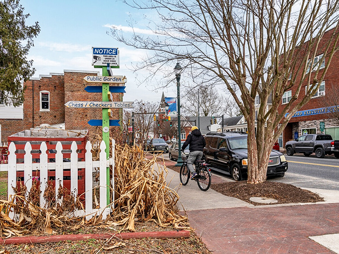 River town charm meets modern amenities where the Nanticoke flows through Delaware's hidden gem. 
