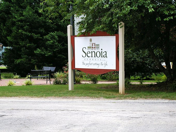 "The perfect setting for life" isn't just Senoia's motto&mdash;it's the affordable reality for retirees seeking storybook small-town charm.
