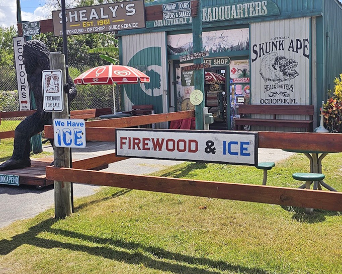 Ice, firewood, and cryptid research – a one-stop shop for all your Everglades adventure needs!