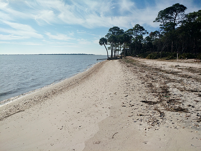 Morning on St. George Island—where the beach gets a fresh start and so do you.