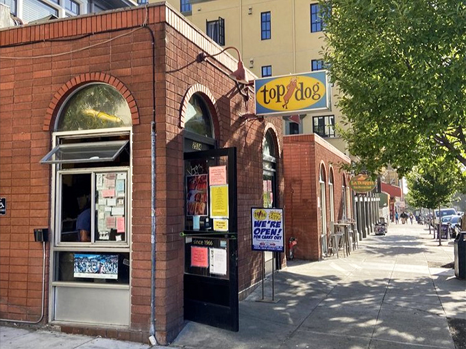 This unassuming storefront houses hot dog magic that's been fueling Berkeley's best ideas for generations.