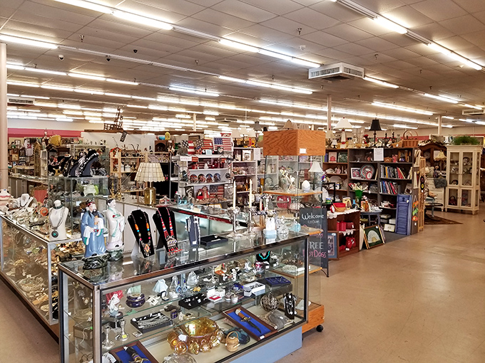 Bright display cases filled with yesterday's treasures create a museum where everything has a price tag.