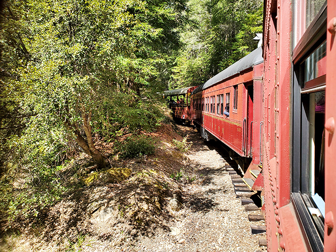 Willits: All aboard the Skunk Train! These historic rails carry you through majestic forests without derailing your retirement plans.