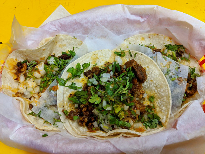 Traditional al pastor tacos done right &ndash; double corn tortillas cradle perfectly seasoned meat topped with nothing more than cilantro and onions. Simplicity at its most delicious.