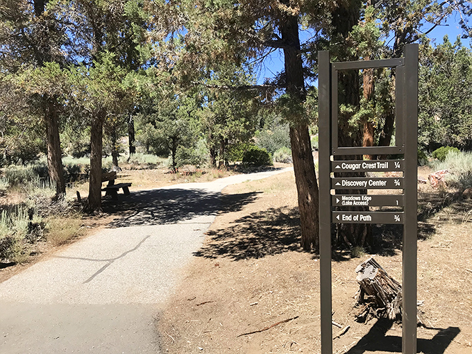 Nature's perfect hiking trail&mdash;just challenging enough to feel accomplished, just easy enough to still take selfies.