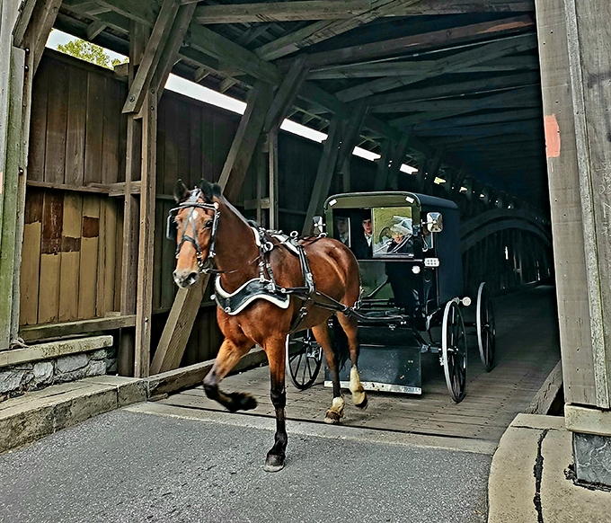 Where past meets present: an Amish buggy clip-clops through the bridge, creating a scene that's quintessentially Lancaster County.