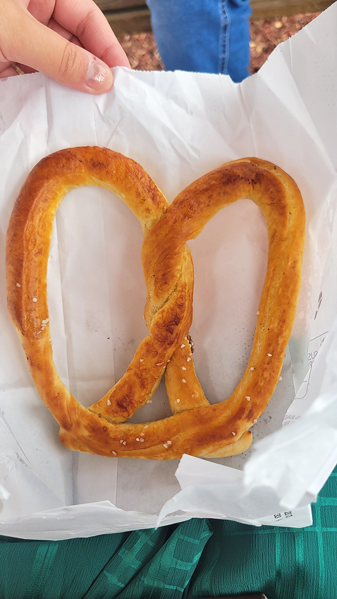 This isn't just a pretzel&mdash;it's an edible work of art that makes those mall versions look like sad, distant cousins.