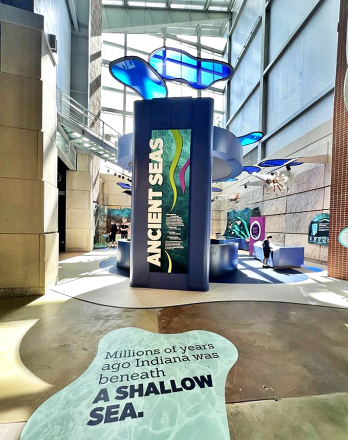 "Millions of years ago Indiana was beneath A SHALLOW SEA." Mind-blowing exhibit that proves your backyard was once prime oceanfront property.