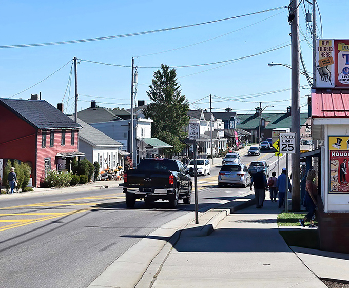 Berlin's streets offer that rare combination of cars and carriages sharing the road, like a time-travel experiment that somehow works perfectly.