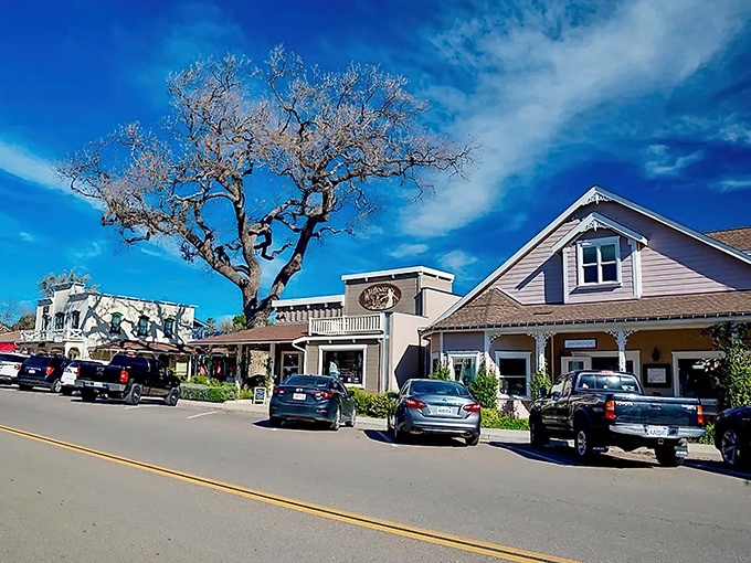 Downtown Los Olivos offers a masterclass in small-town perfection, where even the most dedicated city dweller might fantasize about opening a little shop.