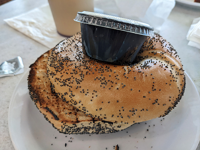 The poppy seed bagel&mdash;nature's way of telling your dentist you're living dangerously. That perfect golden crust is what New Yorkers dream about when exiled to Florida.