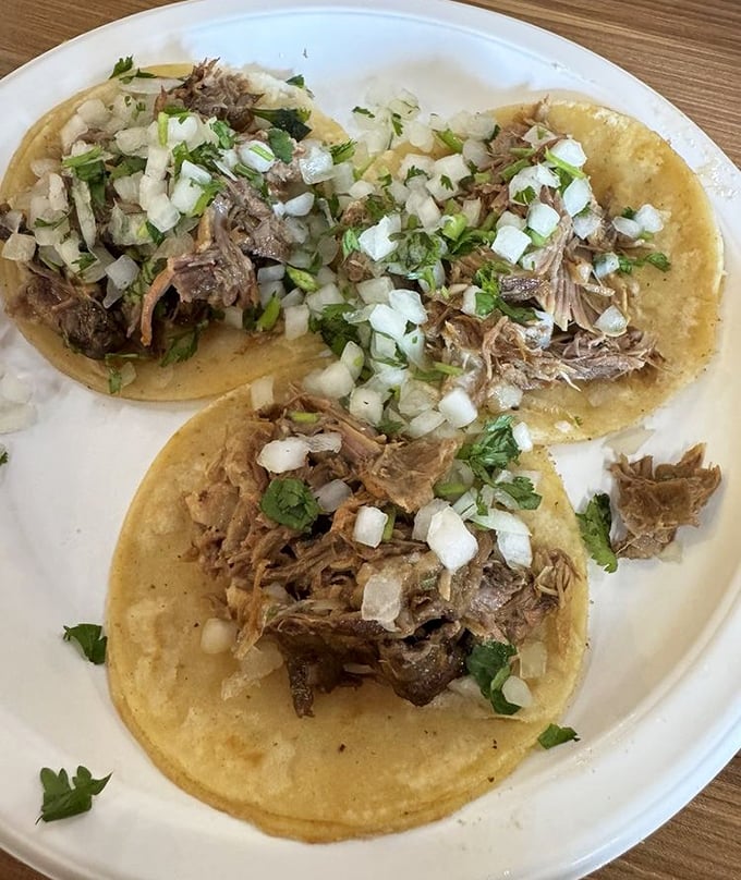 Simplicity at its finest: soft corn tortillas, tender shredded meat, fresh cilantro and onion. No Instagram filters needed for this authentic beauty.
