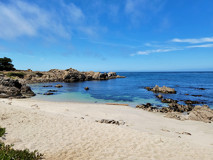 Nature's own infinity pool where tide pools host marine life conventions and children discover their inner Jacques Cousteau.